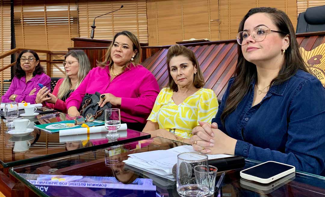Deputada Dra Michelle Melo Realiza Audiência Pública Alusiva Aos 75
